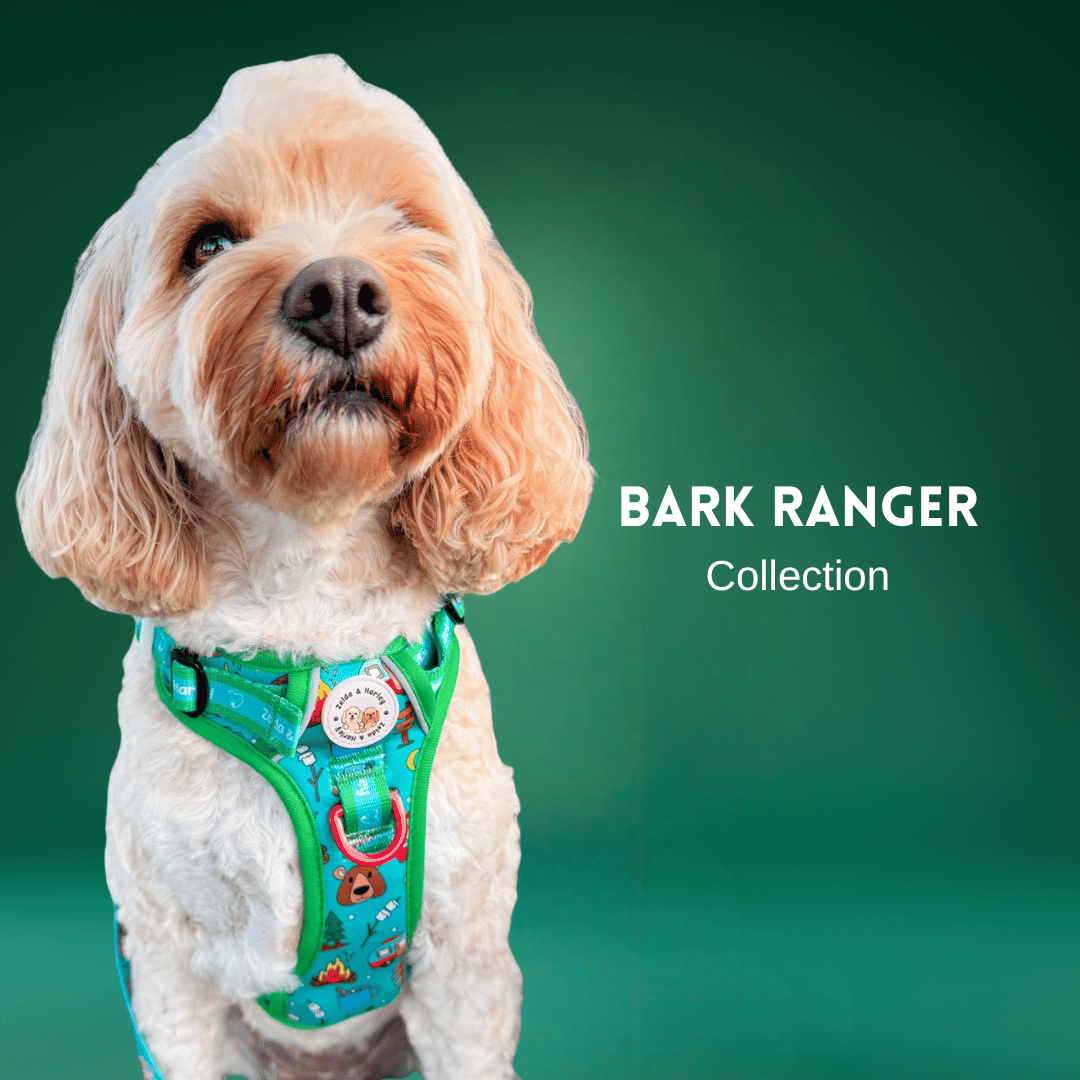 Bark Ranger Collection – The Dog Mom Store.
