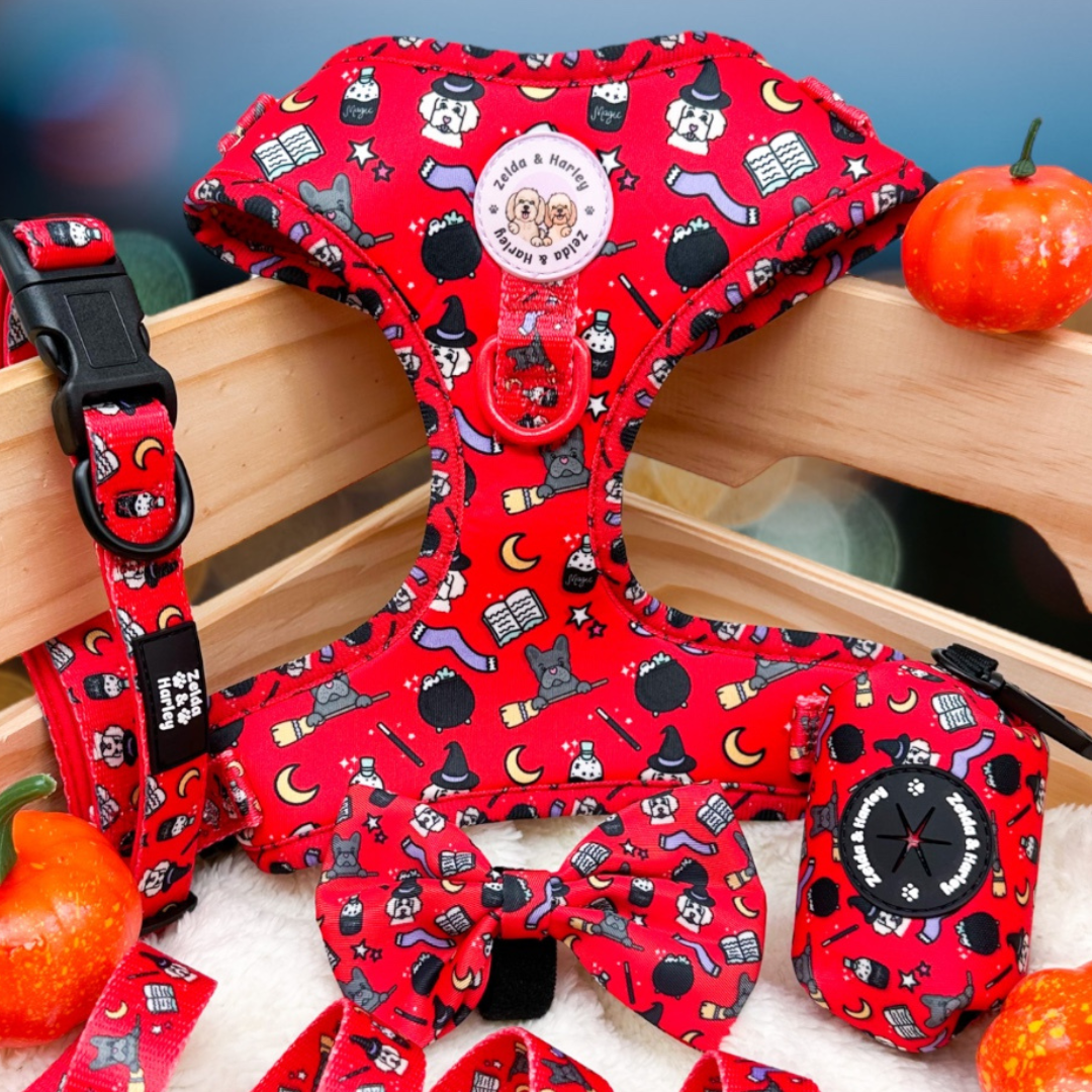 Hairy Pawter Collection – The Dog Mom Store.