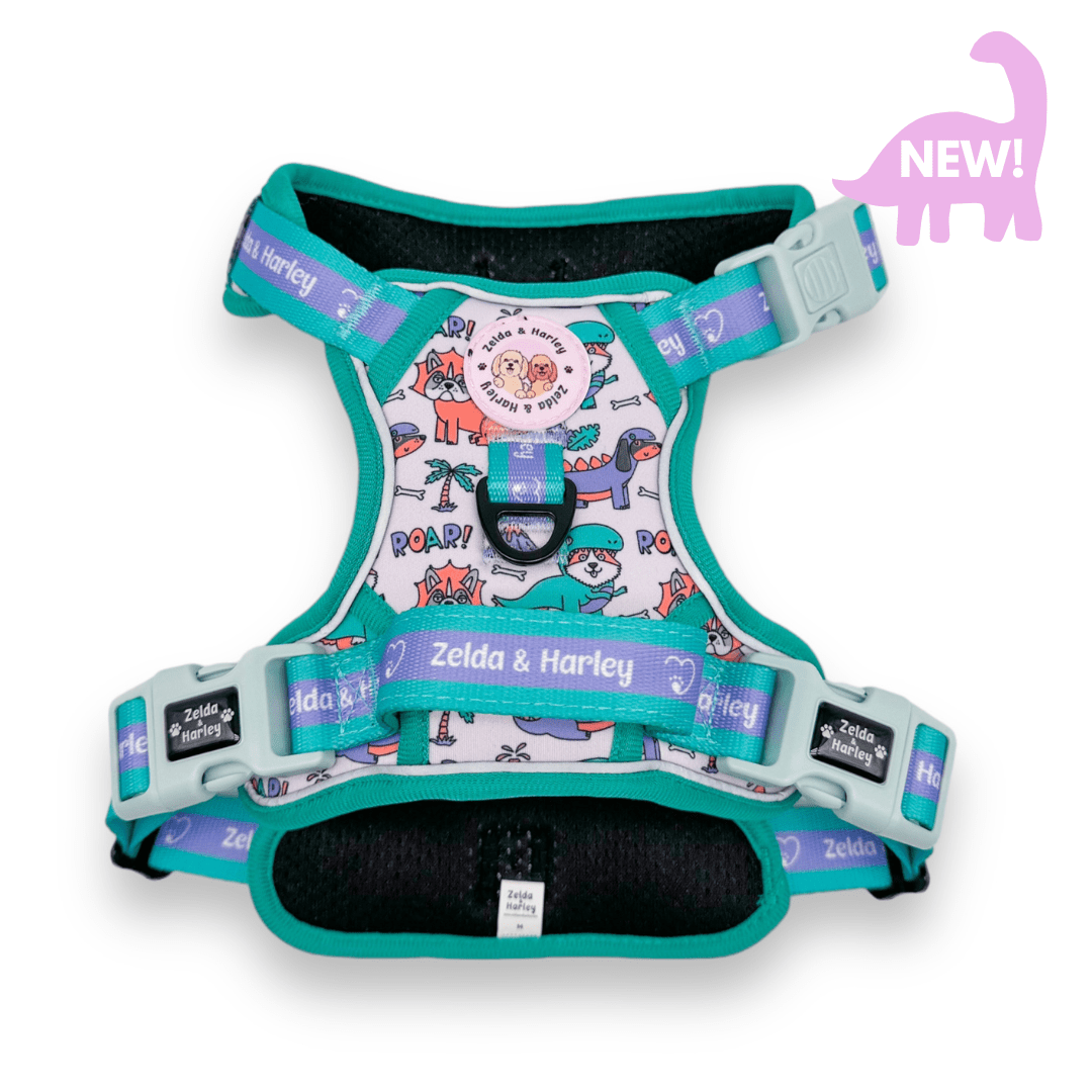 Doggosaurus Rex - Adventure No Pull Harness – The Dog Mom Store.