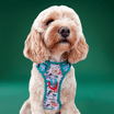 Doggosaurus Rex - Adventure No Pull Harness – The Dog Mom Store.