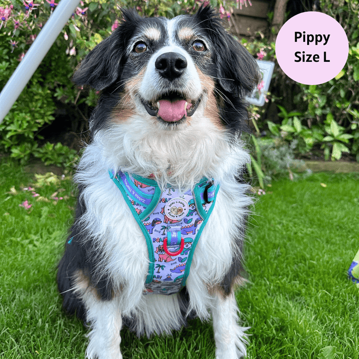 Doggosaurus Rex - Adventure No Pull Harness – The Dog Mom Store.