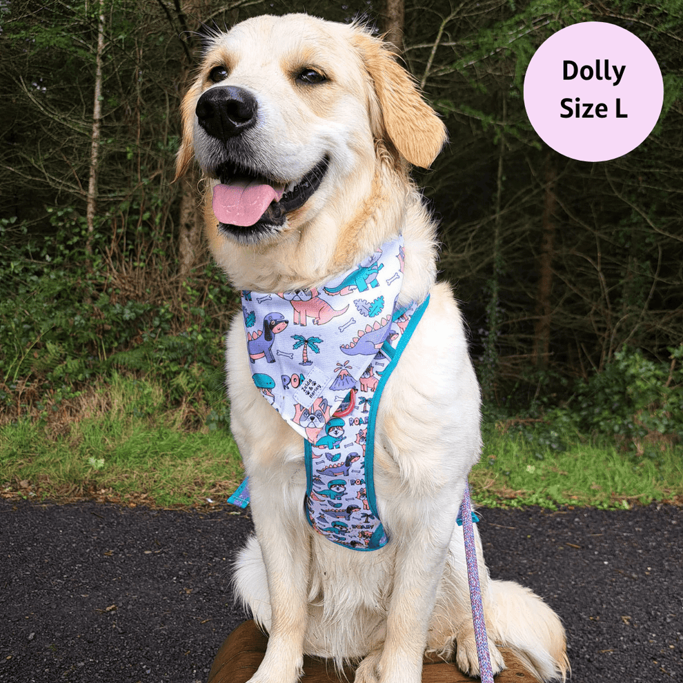 Doggosaurus Rex - Adventure No Pull Harness – The Dog Mom Store.